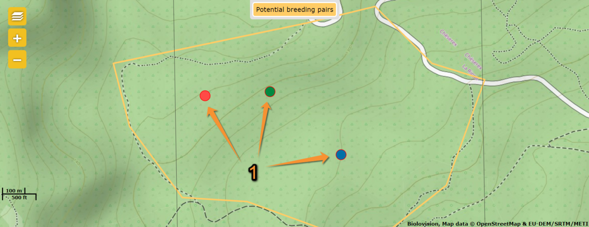 Jackdaw - Biolovision Help