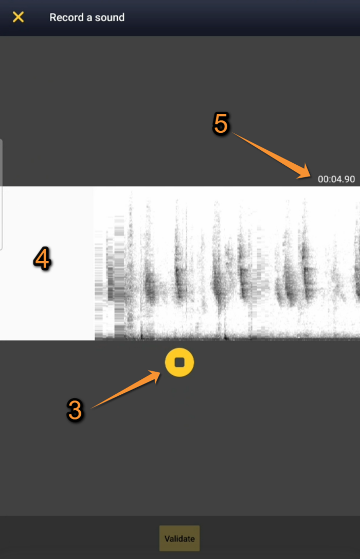 Sound recorder - Biolovision Help