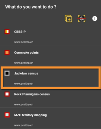 Jackdaw (NL) - Biolovision Help